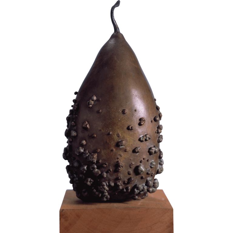 African Warty Bule gourd, Teardrop-Shaped - Amy Goldman Fowler